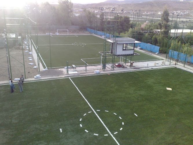 Complejo Fénix - CONTRAPUNTO DIGITAL