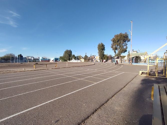 Pista De Atletismo - CONTRAPUNTO DIGITAL