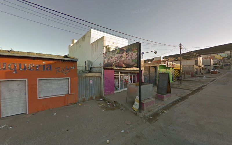 Ave fénix - CONTRAPUNTO DIGITAL