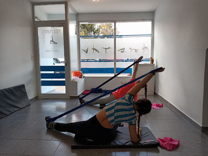 FLEX Pilates Studio - CONTRAPUNTO DIGITAL