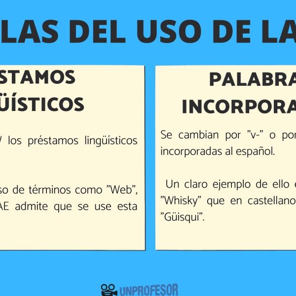 Palabras con doble o en español: ejemplos y reglas de uso - CONTRAPUNTO ...